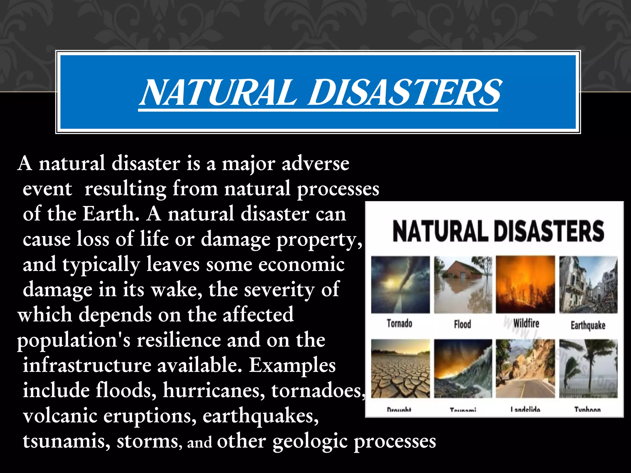 Environmental Disasters | PDF