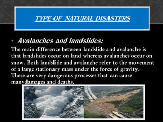 Environmental Disasters | PDF