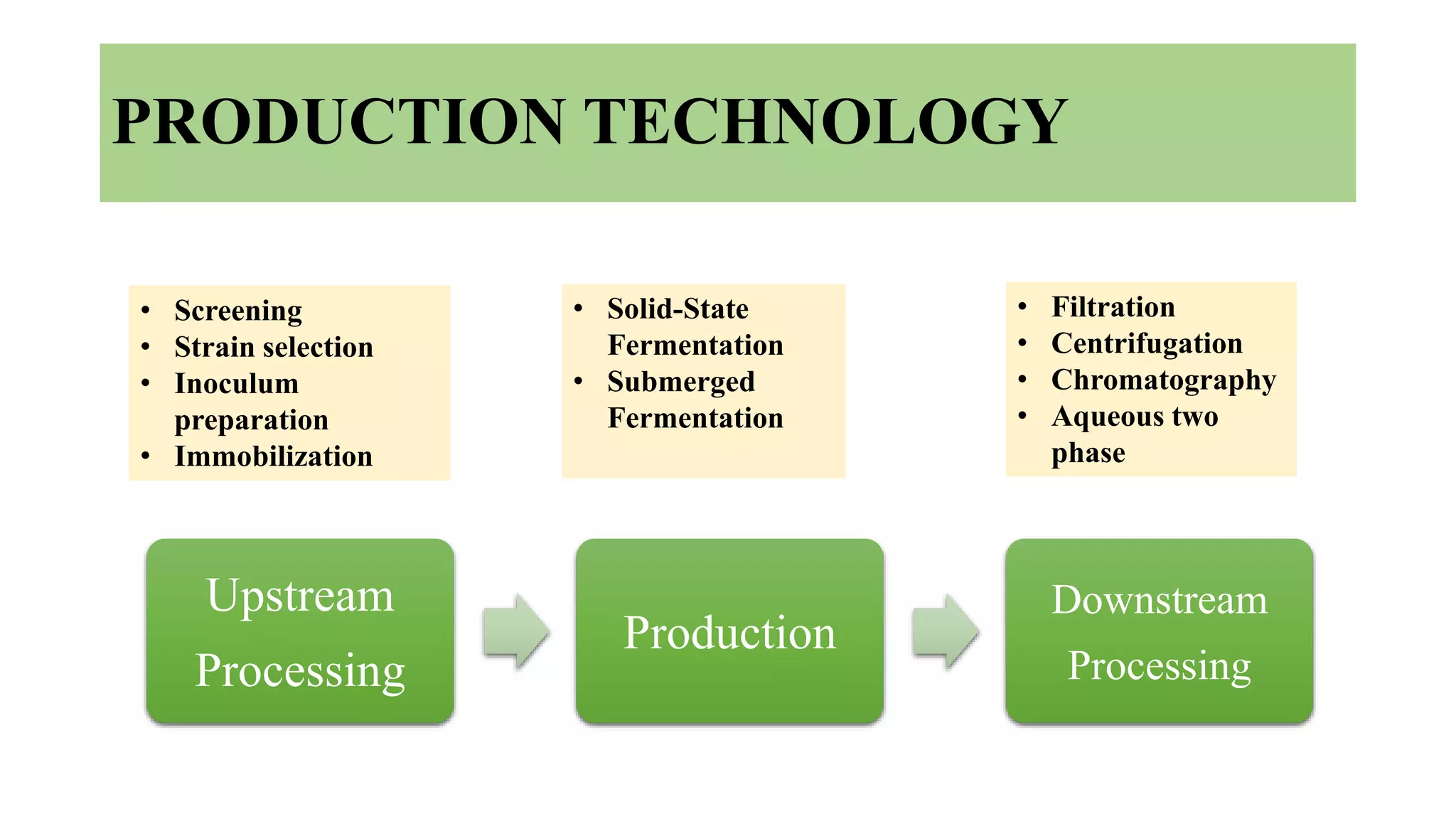 Presentation of Enzyme- lipase.pptx