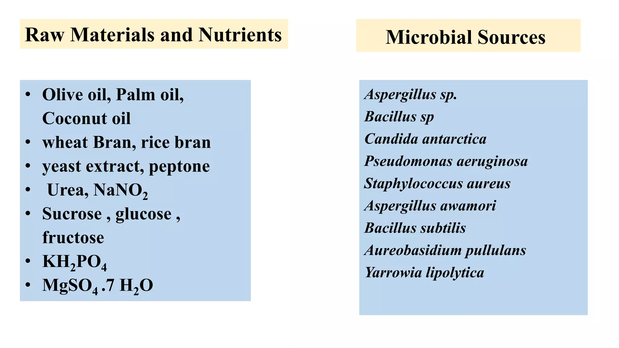 Presentation of Enzyme- lipase.pptx