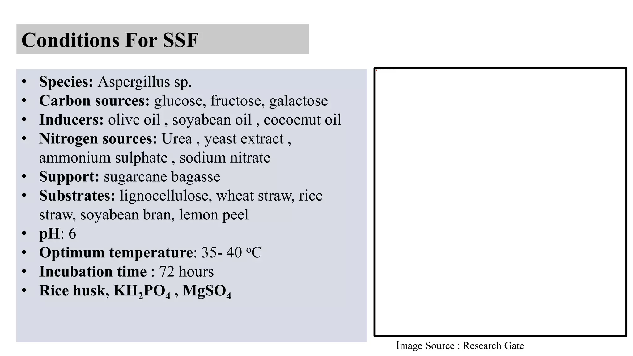 Presentation of Enzyme- lipase.pptx