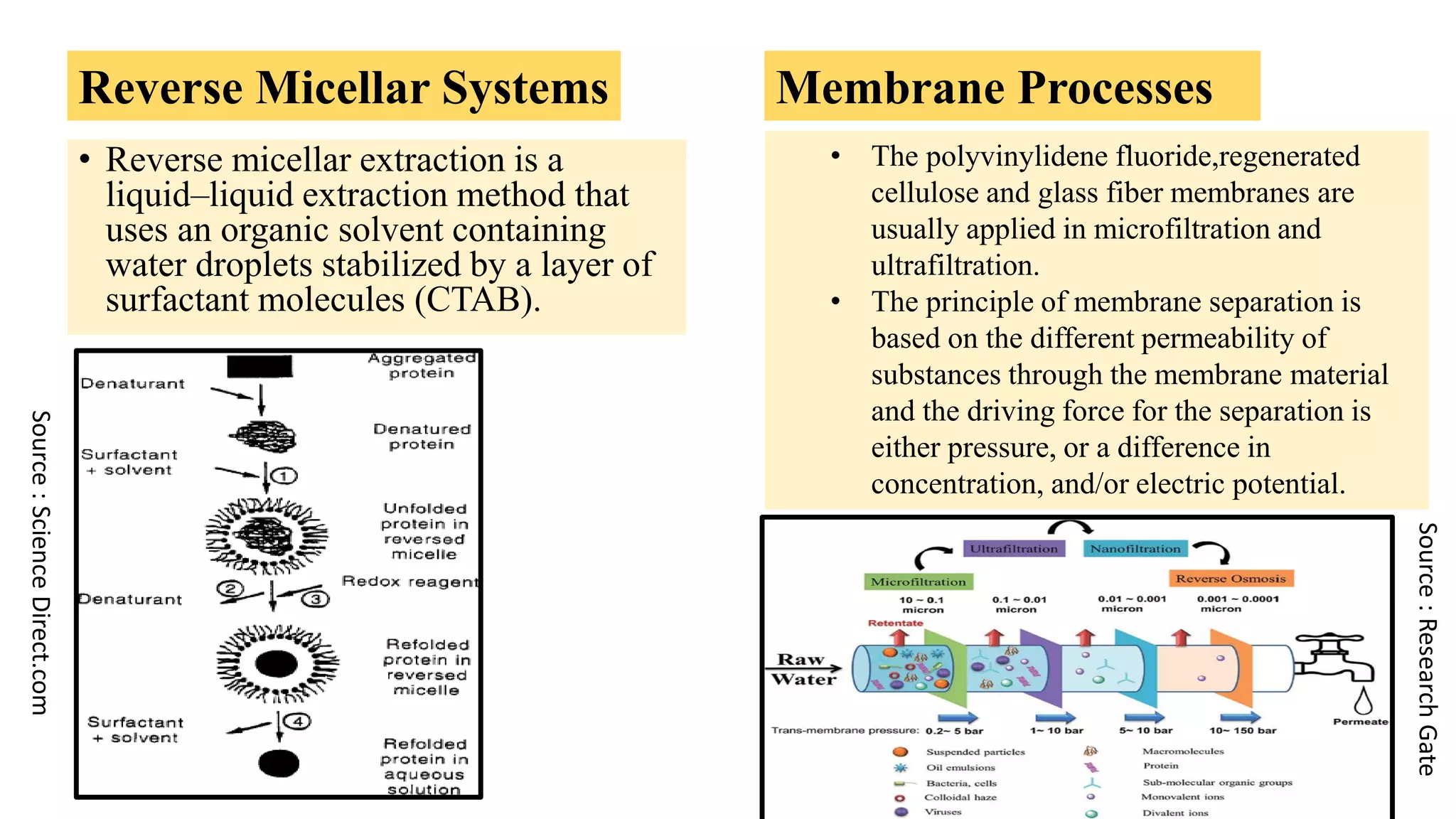 Presentation of Enzyme- lipase.pptx