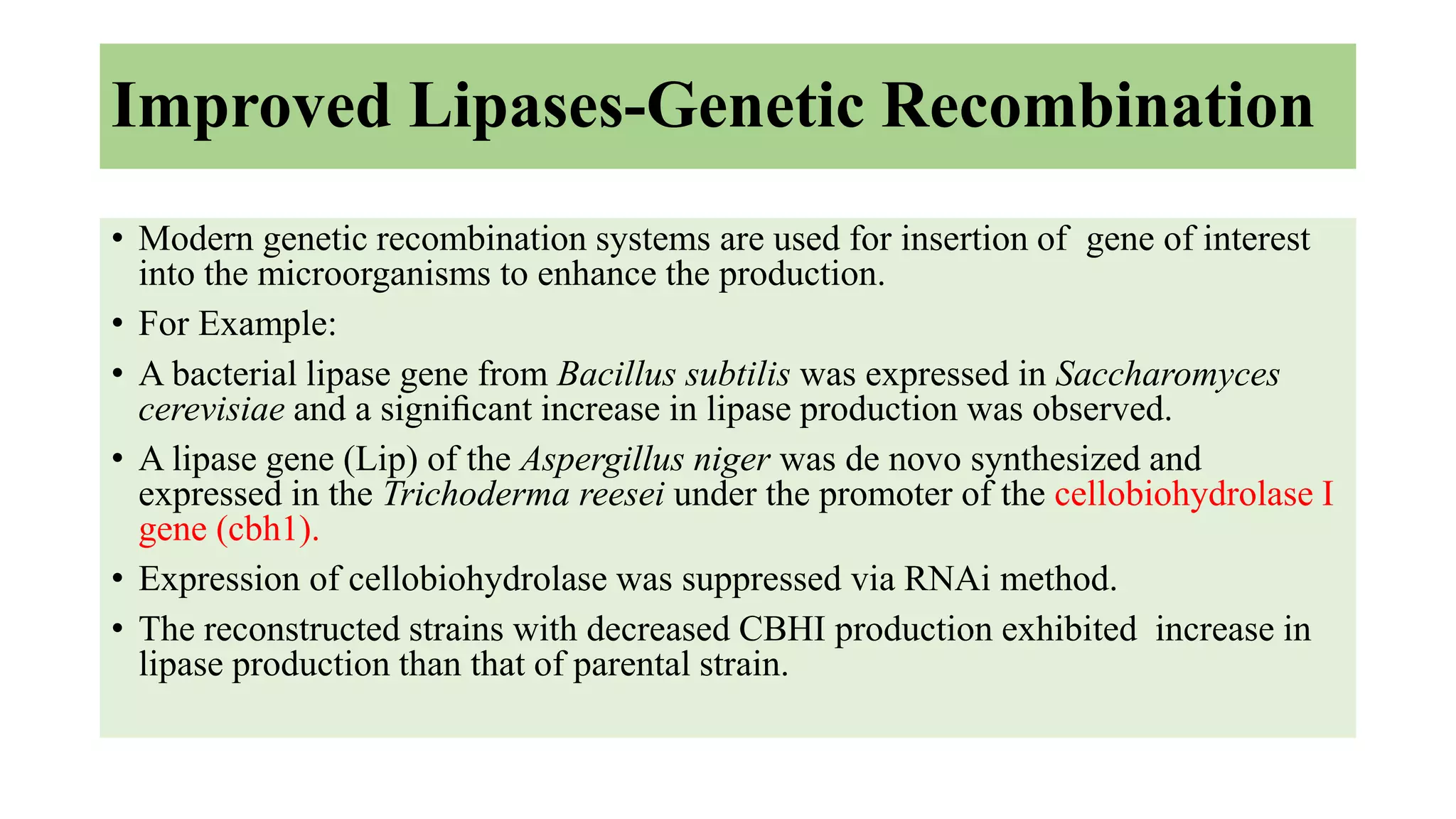 Presentation of Enzyme- lipase.pptx