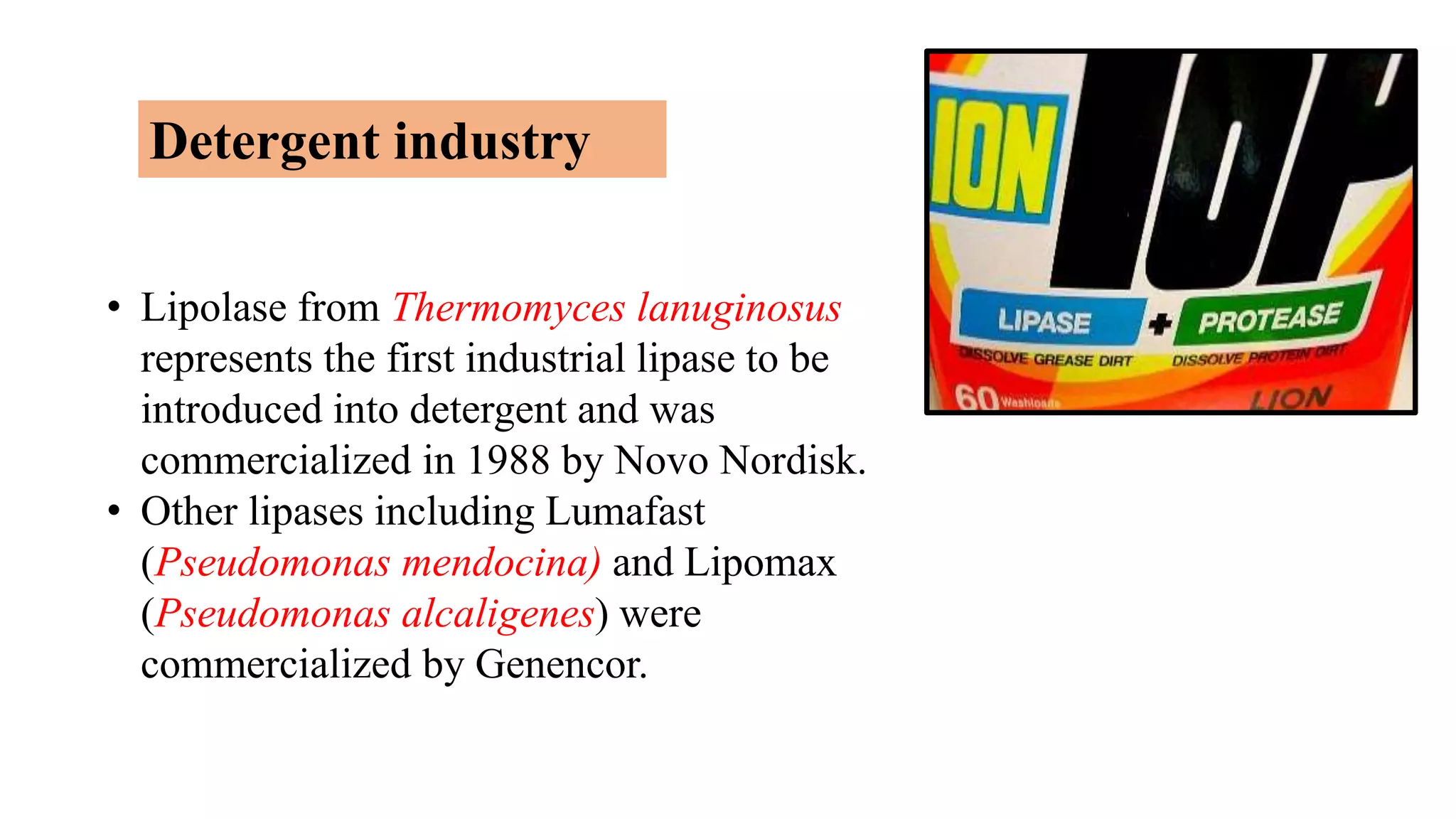 Presentation of Enzyme- lipase.pptx