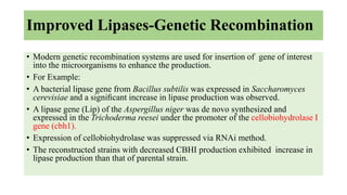 Presentation of Enzyme- lipase.pptx