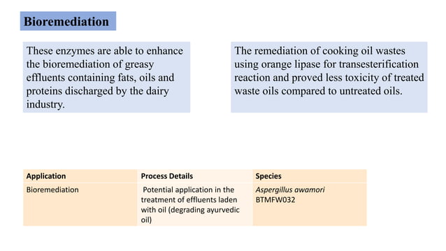 Presentation of Enzyme- lipase.pptx | Chemistry | Science
