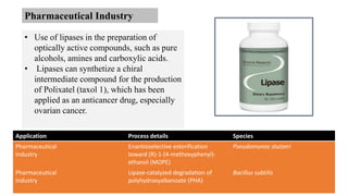 Presentation of Enzyme- lipase.pptx