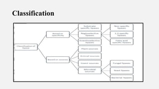 Presentation of Enzyme- lipase.pptx