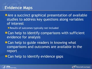 Presentation of Findings | PPT