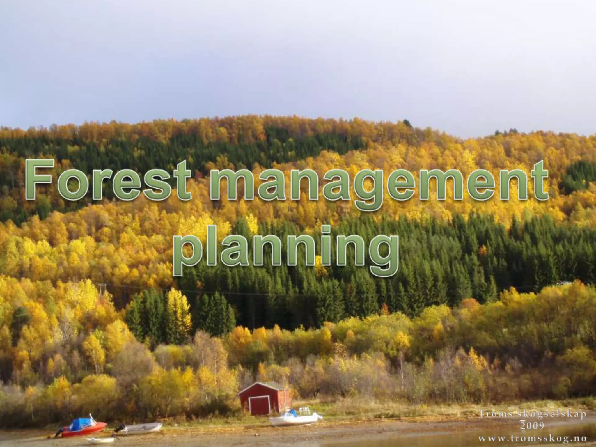 Presentation of Forest Management Planning | PPTX | Science