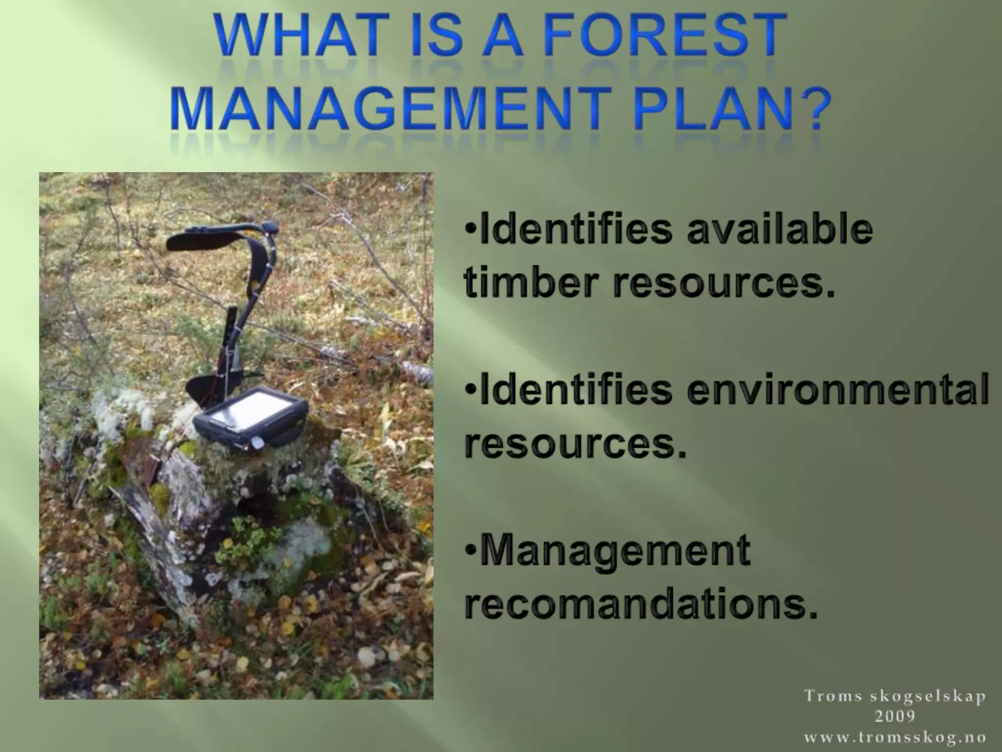 Presentation of Forest Management Planning | PPTX | Science