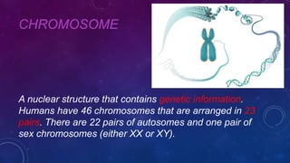 Presentation of genetic periodontal.pptx