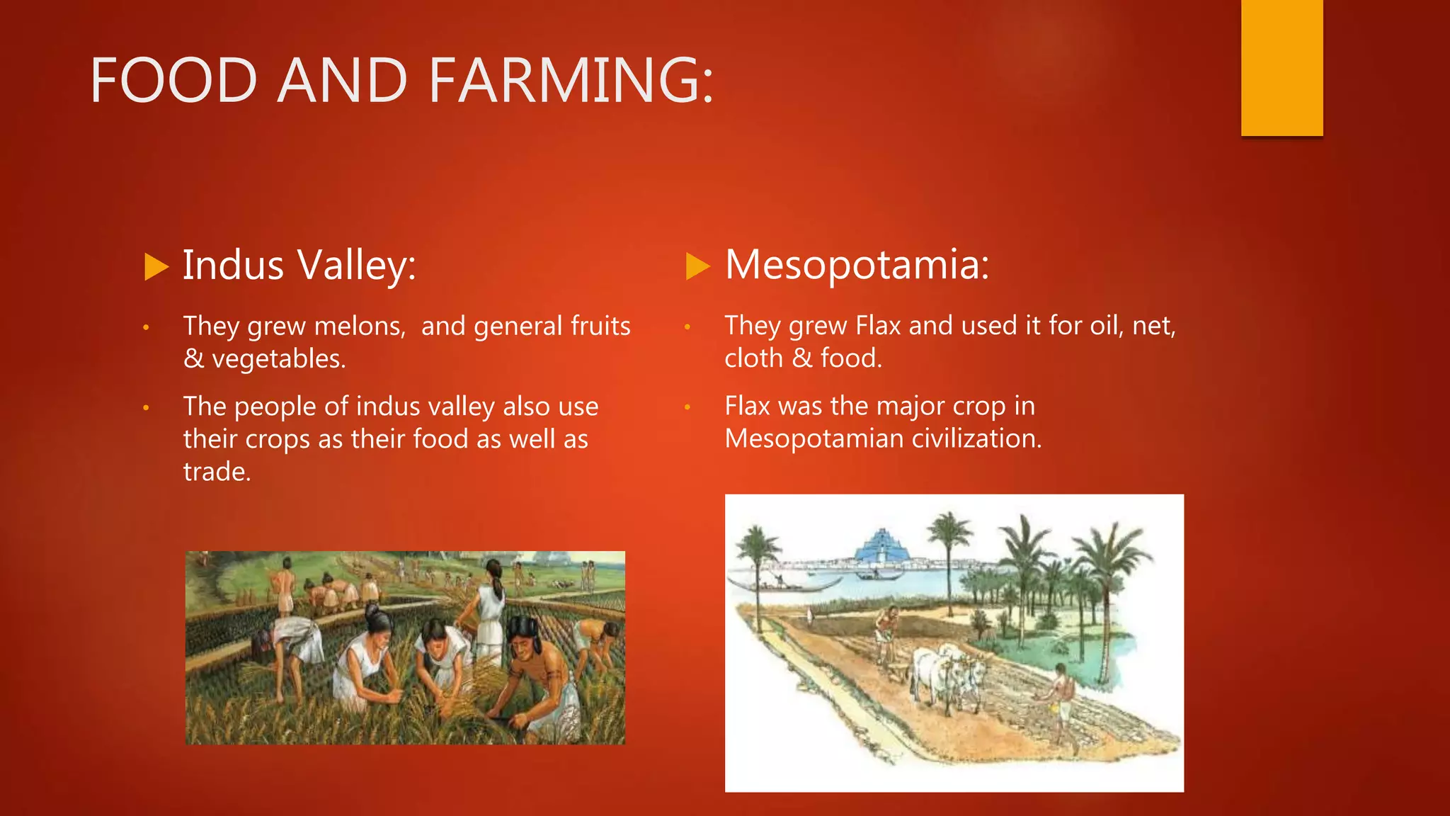 camparison of indus valley and mesopotamia | PPTX