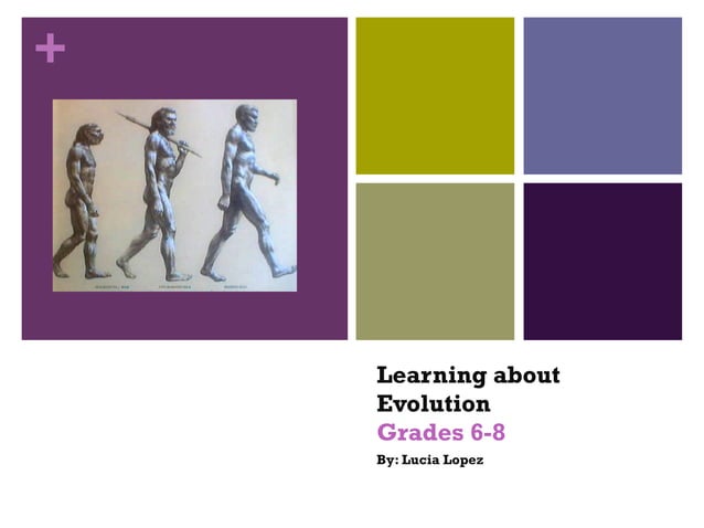 Presentation Of Human Evolution | PPT