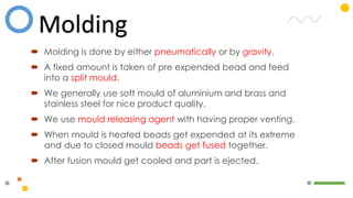 Expandable Bead Foam.pptx.pptx