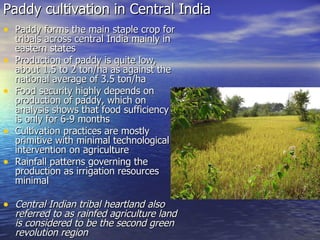 Presentation of kharif paddy stabilisation | PPT