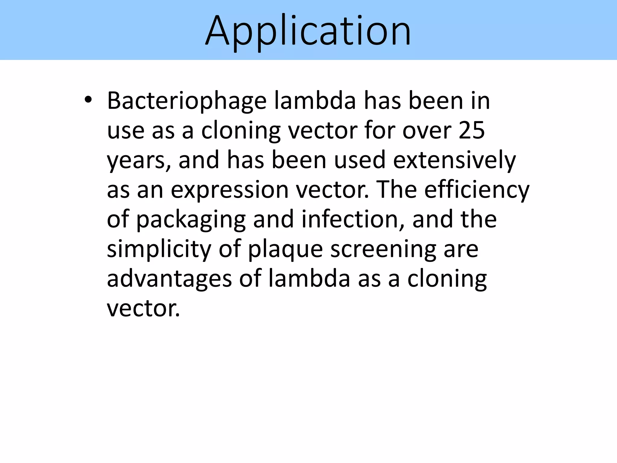 Presentation of Lambda phage vactor.pptx