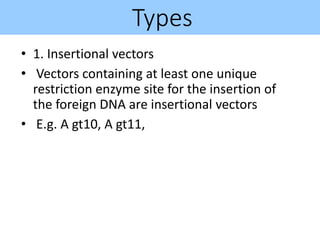 Presentation of Lambda phage vactor.pptx