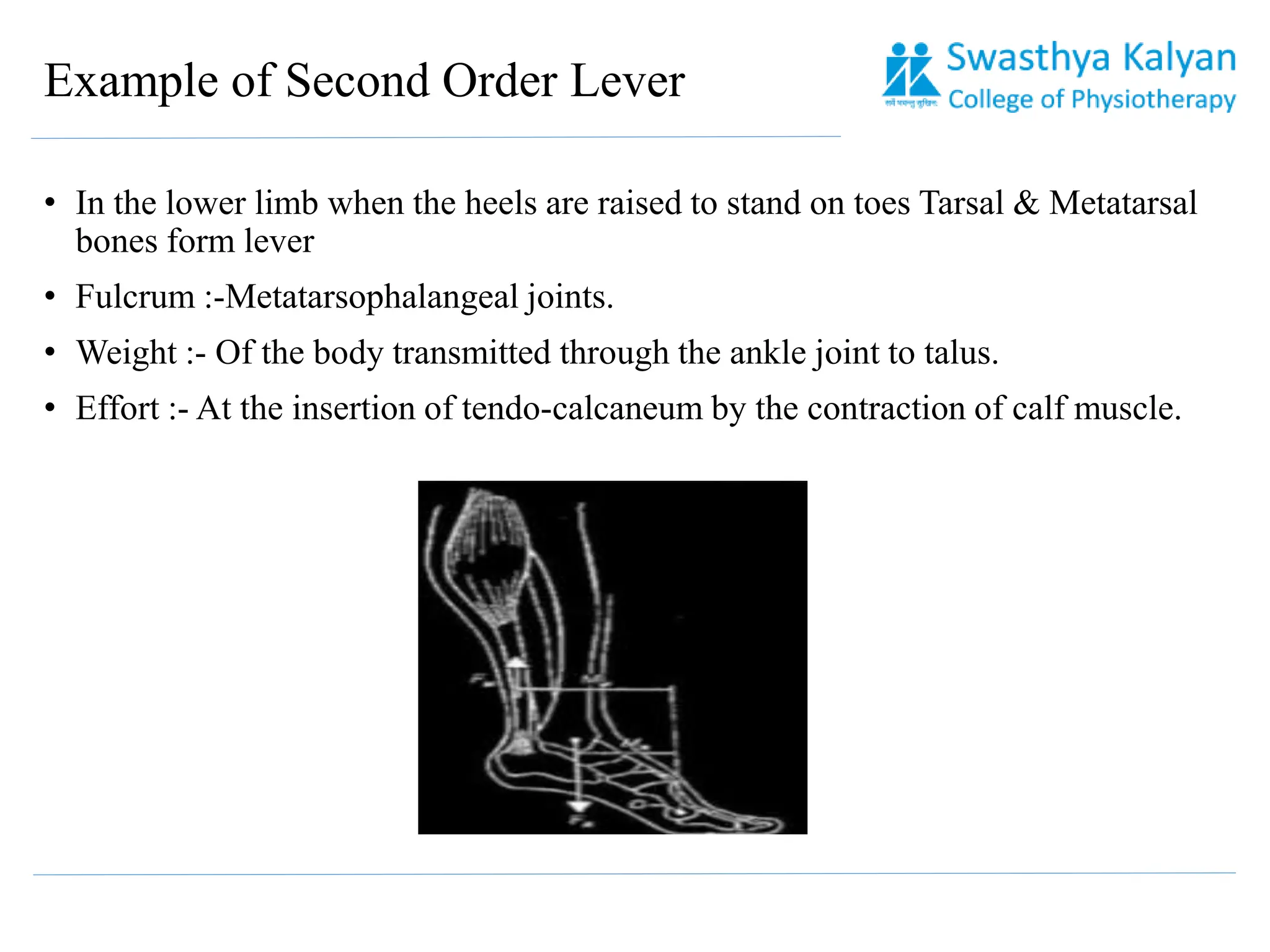 Presentation of lever by Rahul Sharma.pptx