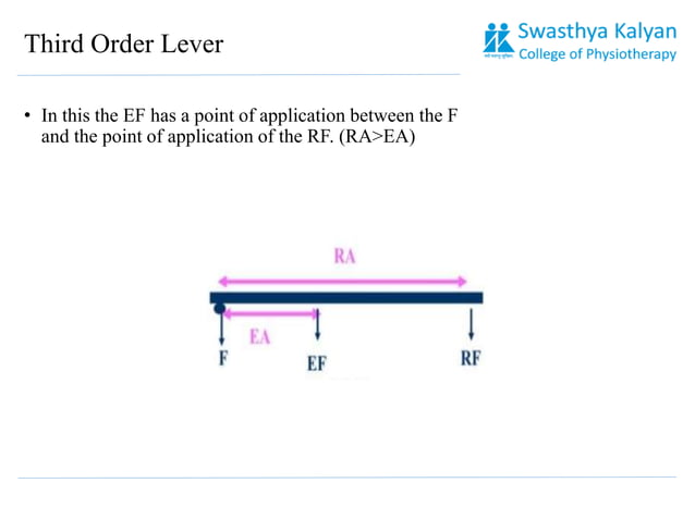 Presentation of lever by Rahul Sharma.pptx