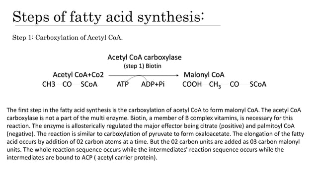 Fatty Acid Synthesis | PPT