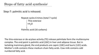 Fatty Acid Synthesis | PPTX
