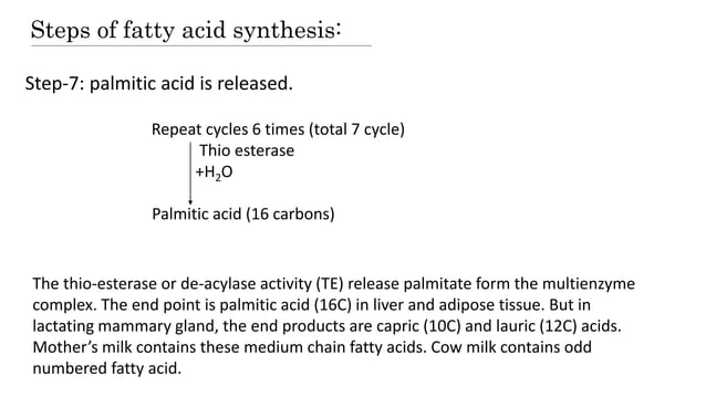 Fatty Acid Synthesis | PPT