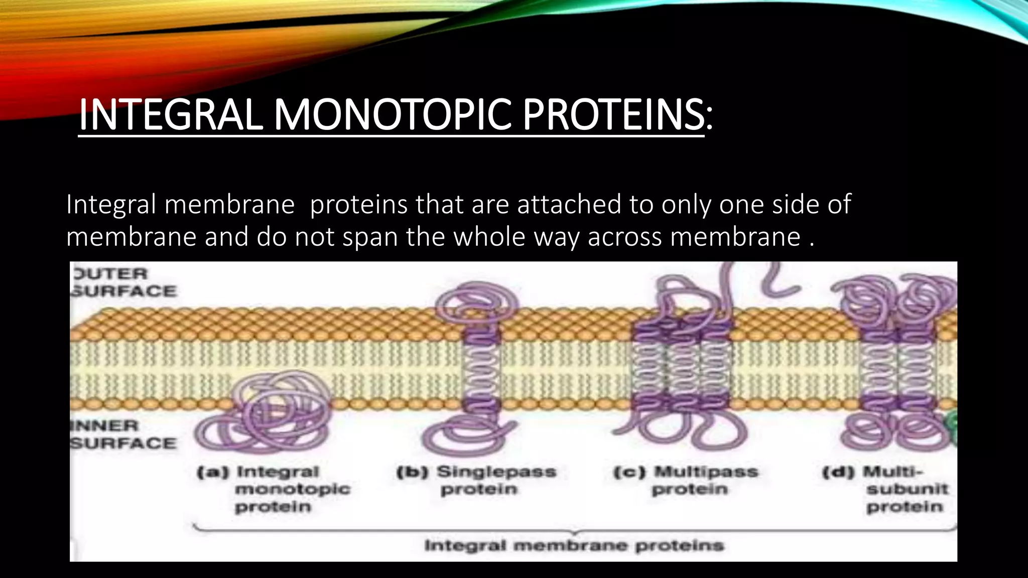Membrane binding proteins | PPTX