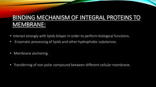 Membrane binding proteins | PPTX