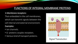 Membrane binding proteins | PPTX