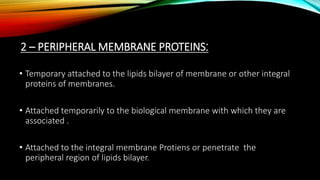 Membrane binding proteins | PPTX