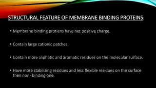 Membrane binding proteins | PPTX