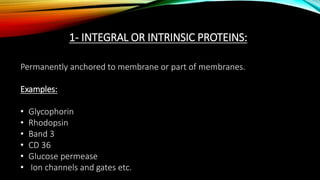 Membrane binding proteins | PPTX