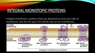 Membrane binding proteins | PPTX