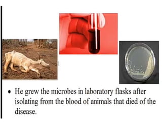 Germ theory of diseases and miasmatic theory. | PPT