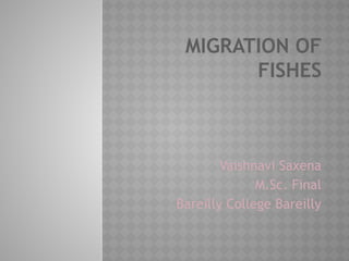 Presentation of migration of fish.pptx