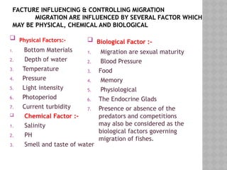 Presentation of migration of fish.pptx