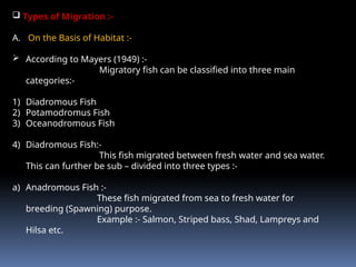 Presentation of migration of fish.pptx
