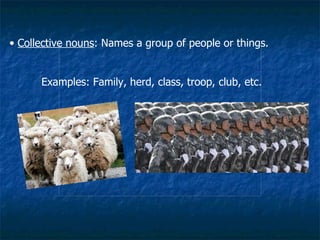 Presentation of nouns | PPT