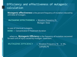 Mutagenic efttect observed during M1 , M2 generation in crop plant ...