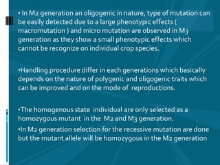 Mutagenic efttect observed during M1 , M2 generation in crop plant ...