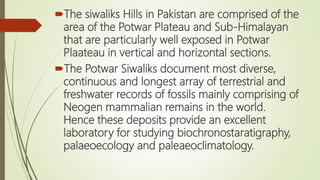 Siwalik hills and their formation | PPTX