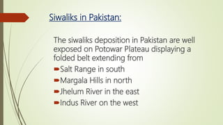 Siwalik hills and their formation | PPTX
