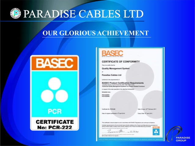 Presentation of Paradise Cables Limited.pptx