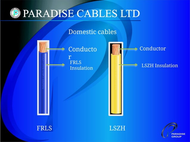 Presentation of Paradise Cables Limited.pptx