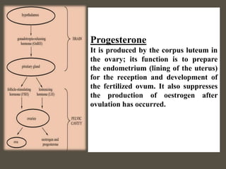 Presentation OF PHYSIOLOGY...pptx