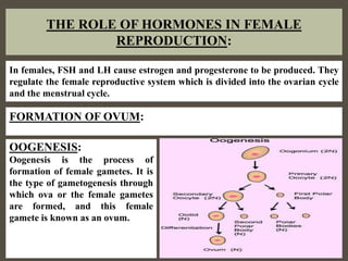 Presentation OF PHYSIOLOGY...pptx