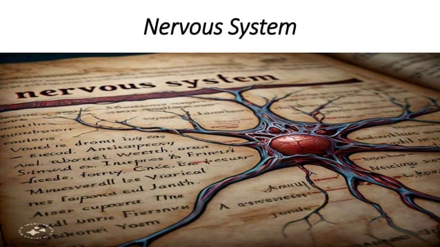 Neuron A neuron, also known as a nerve cell, is the basic functional ...
