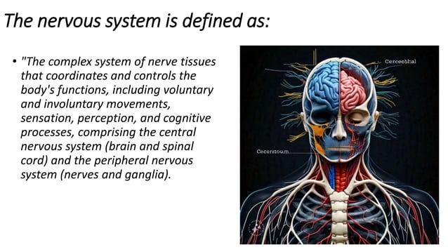 Neuron A neuron, also known as a nerve cell, is the basic functional ...