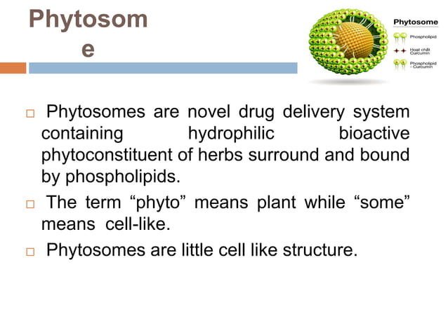 Presentation of phytosomes | PPTX | Herbs and Supplements | Alternative ...